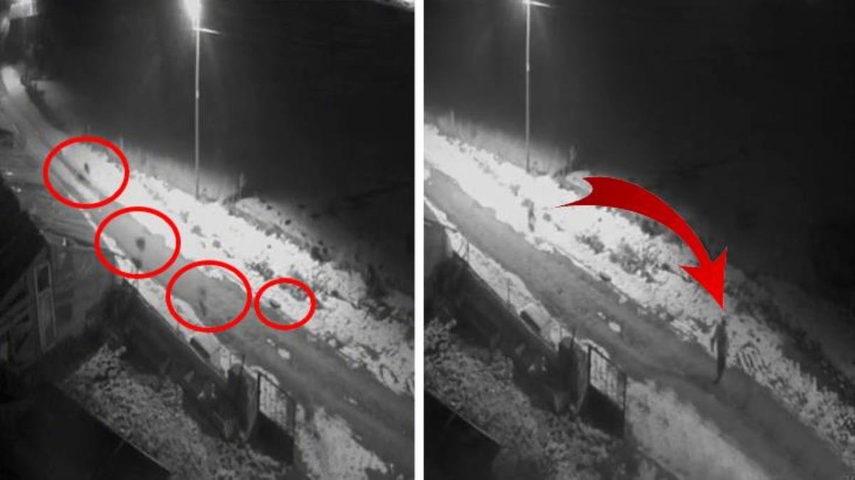 AVBİS nedir, nasıl kullanılır? - Avdoğa Dergisi