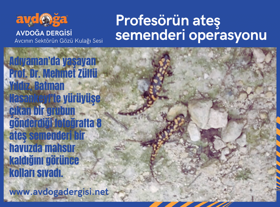 Avbis Nedir? Avbis Giriş - AVBİS AVLAK YÖNETİMİ BİLGİ SİSTEMİ / AVBİS ...