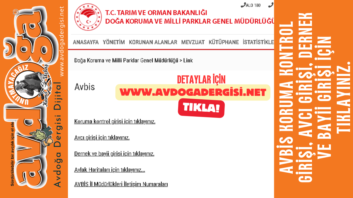 Avbis Giriş Kota Alma 2024 2025 - Avdoğa Dergisi