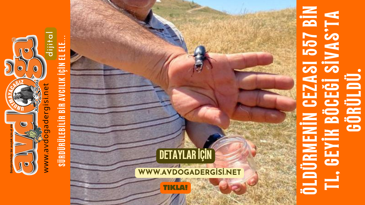 Avbis Nedir Avbis Giriş – AVBİS AVLAK YÖNETİMİ BİLGİ SİSTEMİ / AVBİS ...